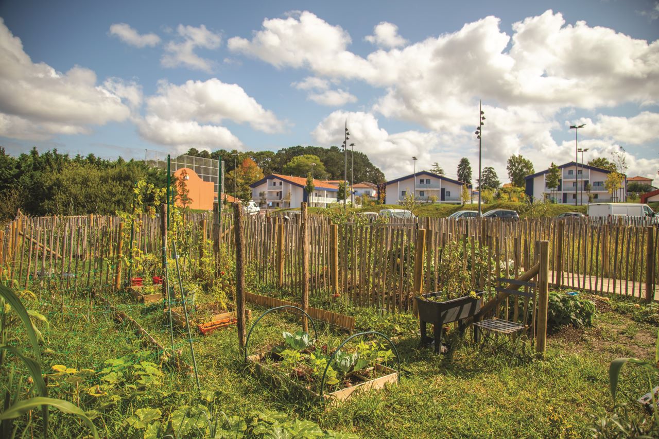 Silence, ça pousse ! Aux jardins familiaux de Sutar - à Anglet, l'E ...